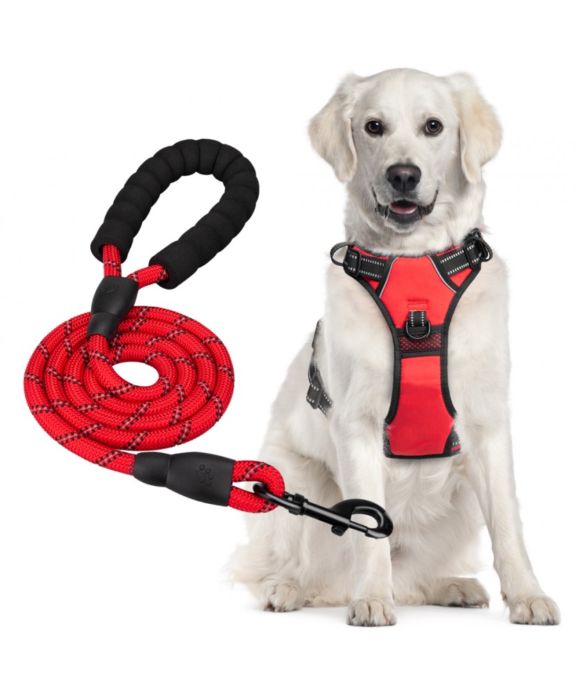 No Pull Dog Harness